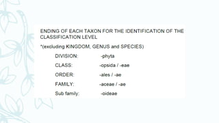 Introduction to Botany Lesson 1.pptx