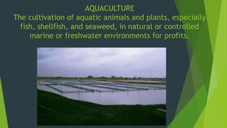 An Introduction to BSc. Natural Resource Management and BSc Aquaculture ...