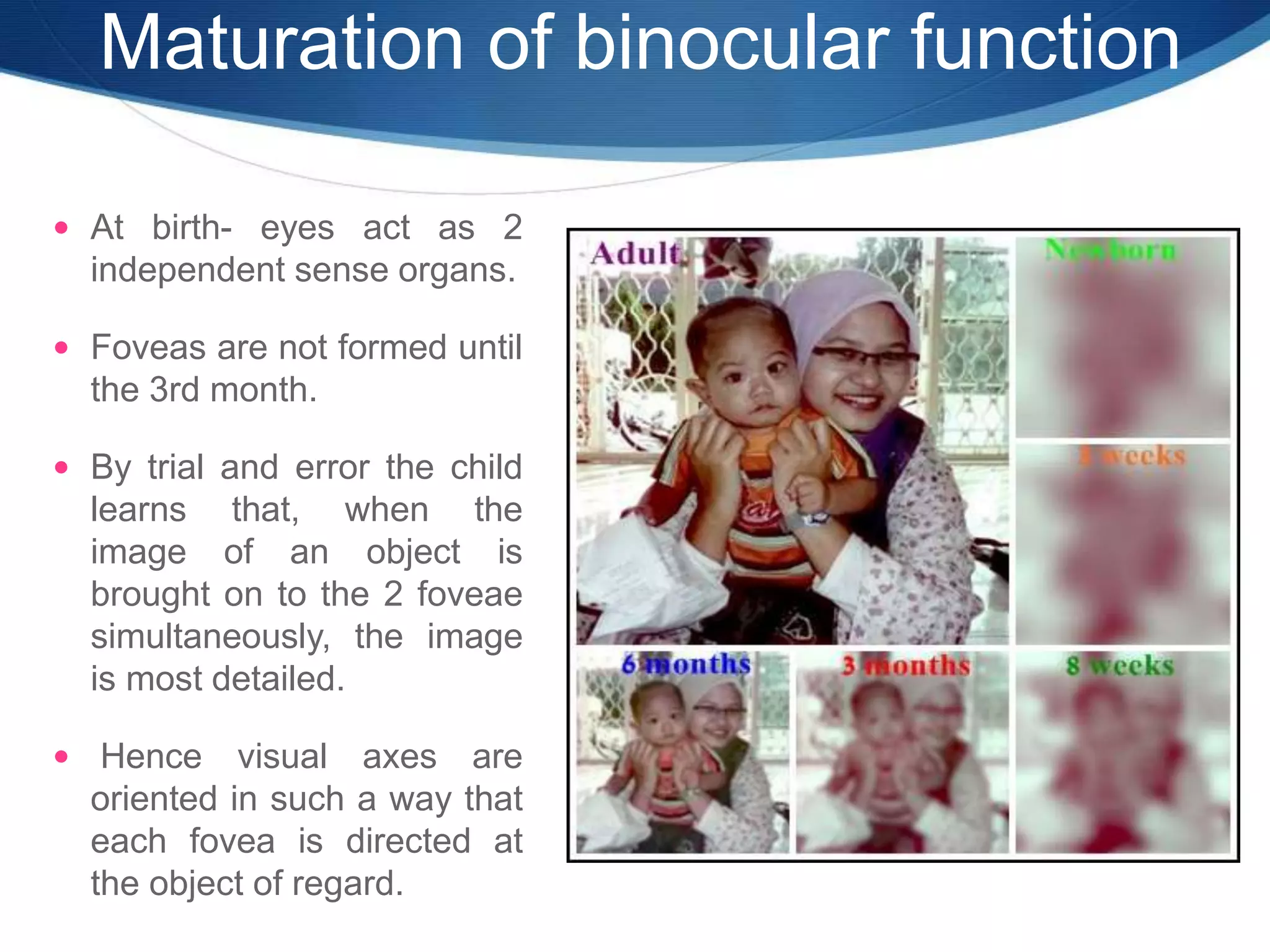 Introduction to binocular single vision (BSV) | PPTX