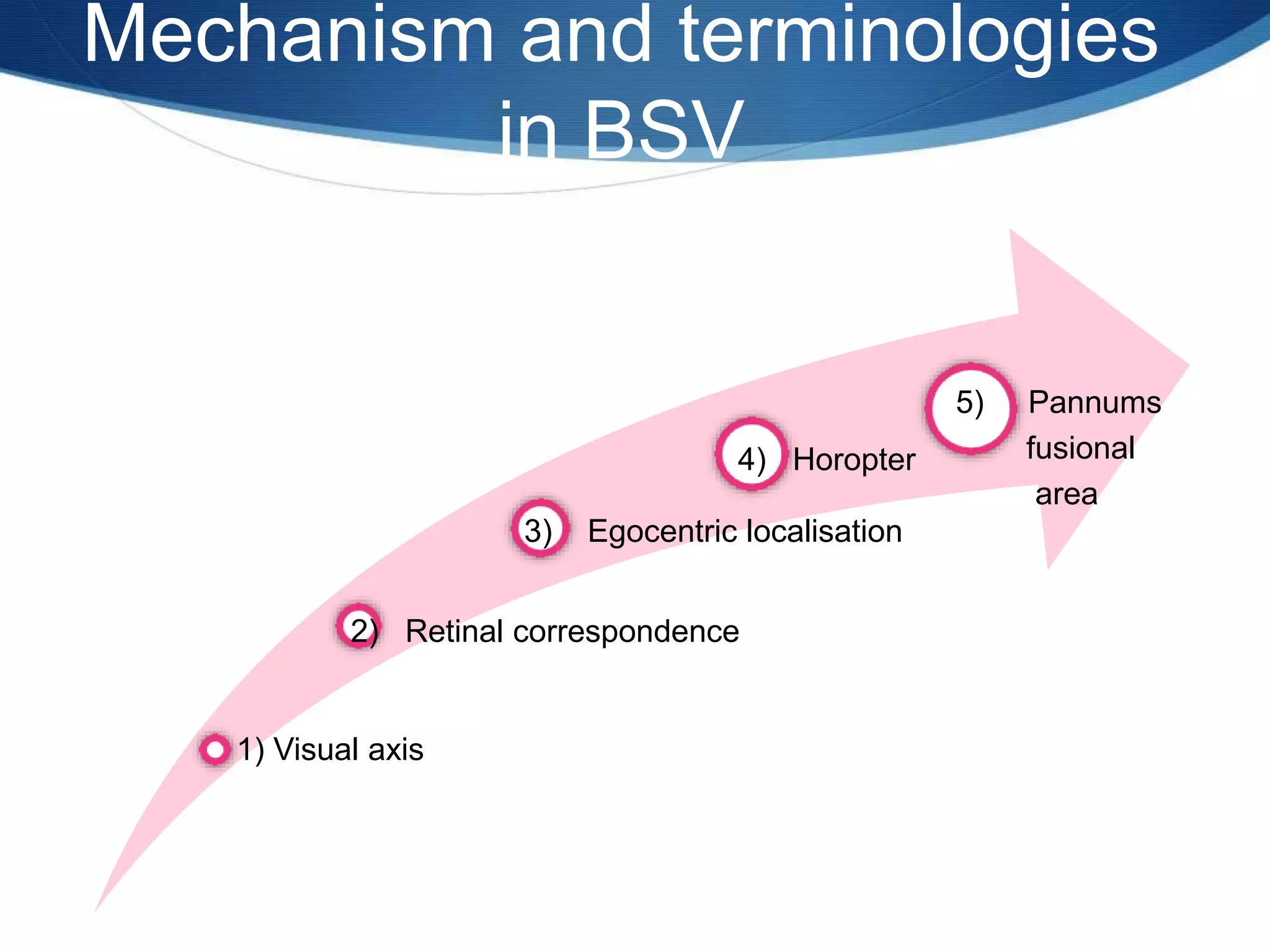 Introduction to binocular single vision (BSV) | PPTX