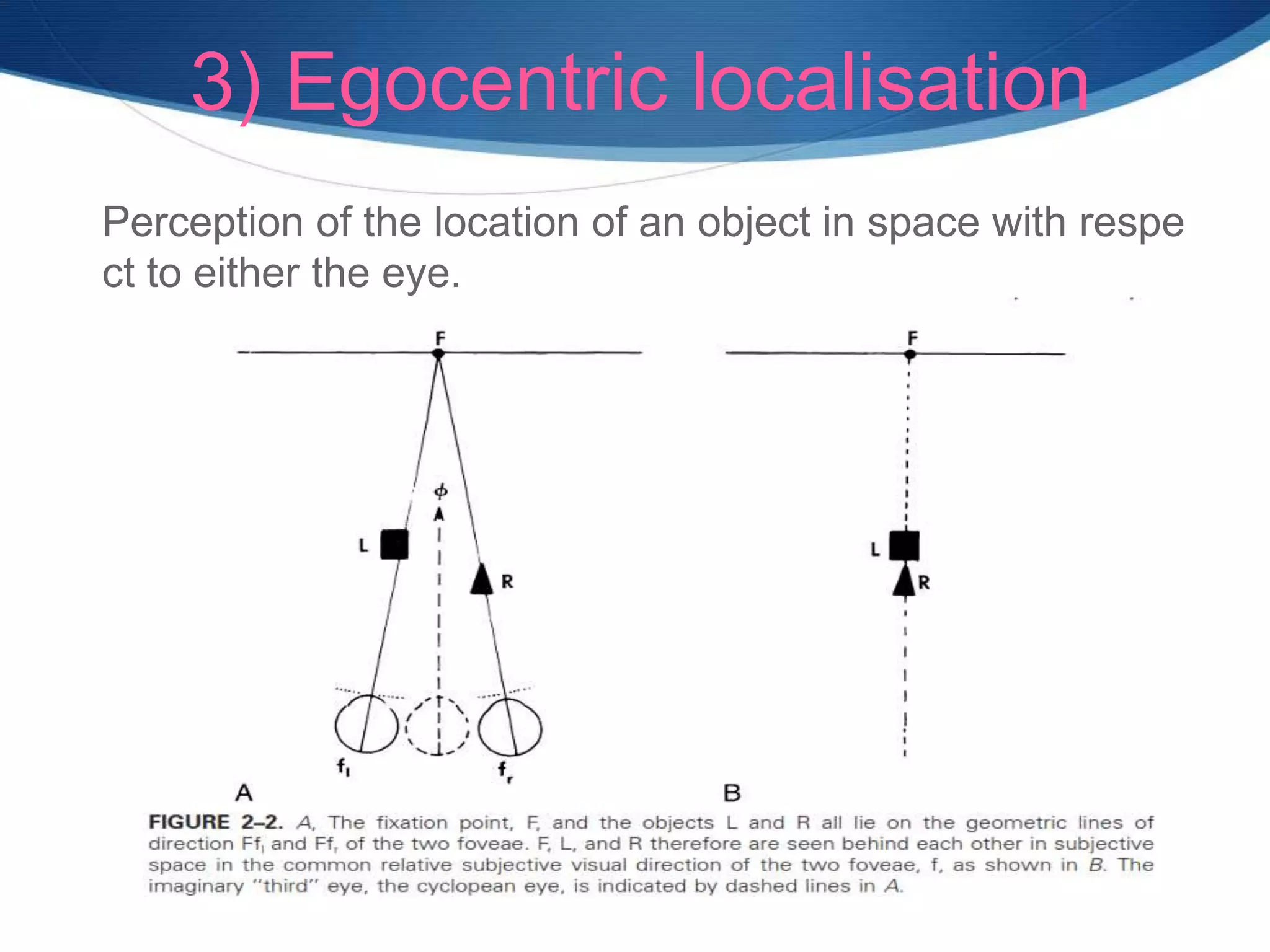 Introduction to binocular single vision (BSV) | PPTX