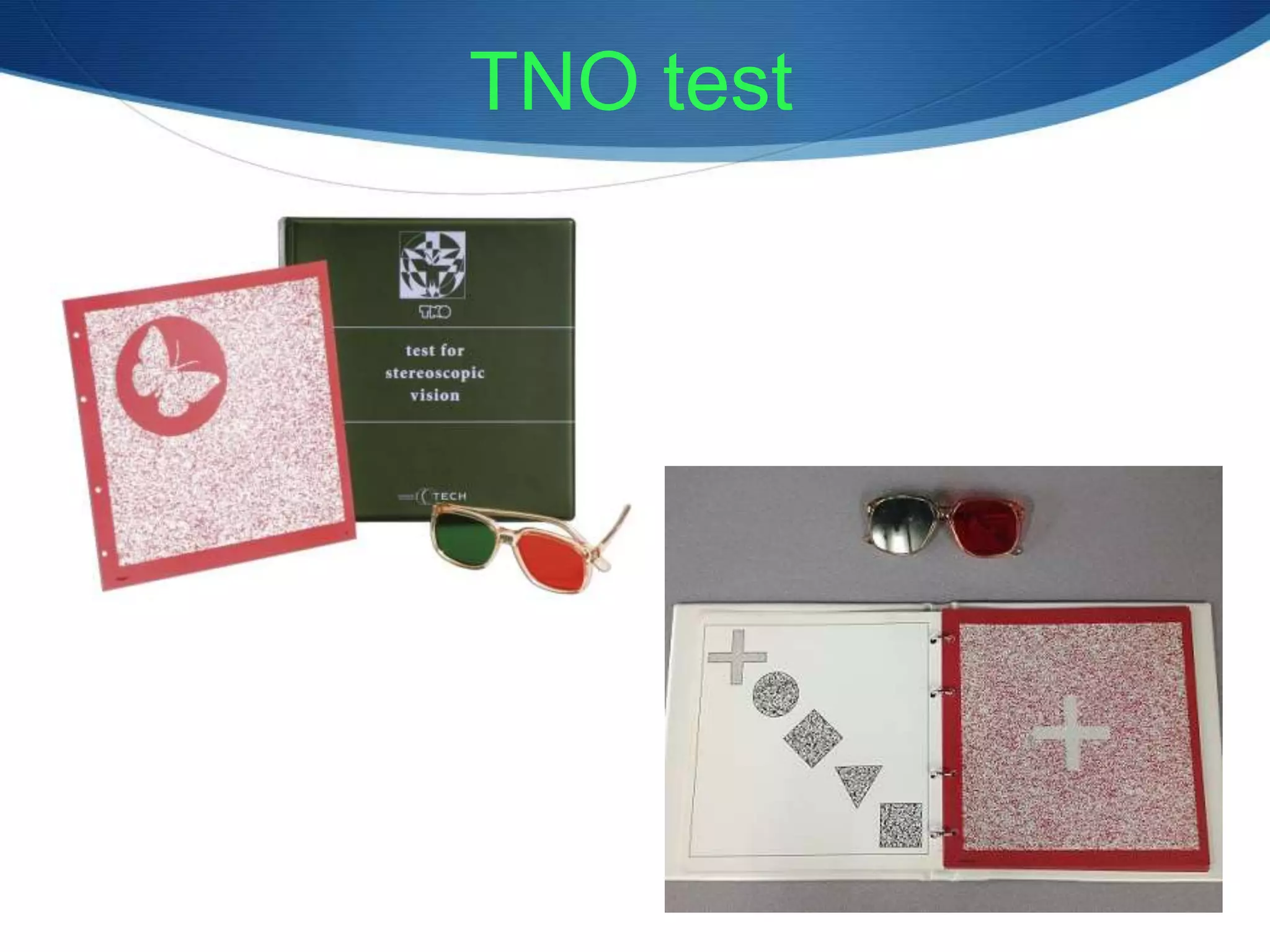 Introduction to binocular single vision (BSV) | PPTX
