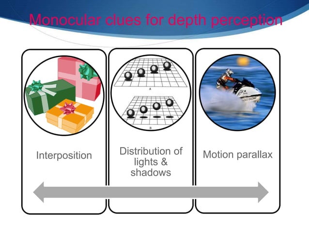 Introduction to binocular single vision (BSV) | PPTX