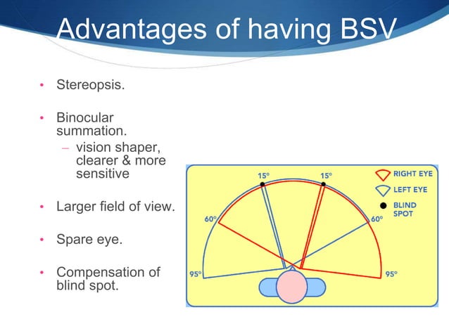 Introduction to binocular single vision (BSV) | PPTX