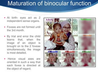 Introduction to binocular single vision (BSV) | PPTX