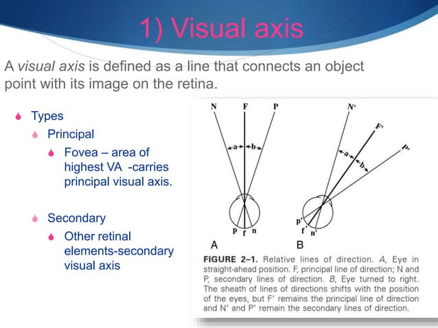 Introduction to binocular single vision (BSV) | PPTX