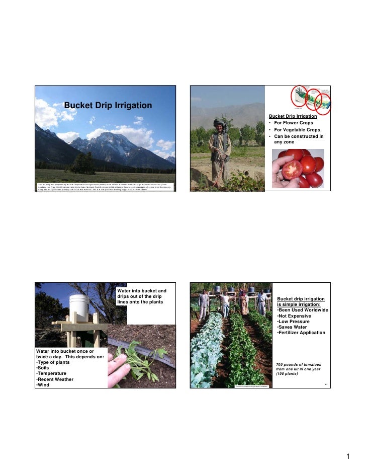 Chapin Bucket Drip Irrigation Missions", God Working Powerfully In My