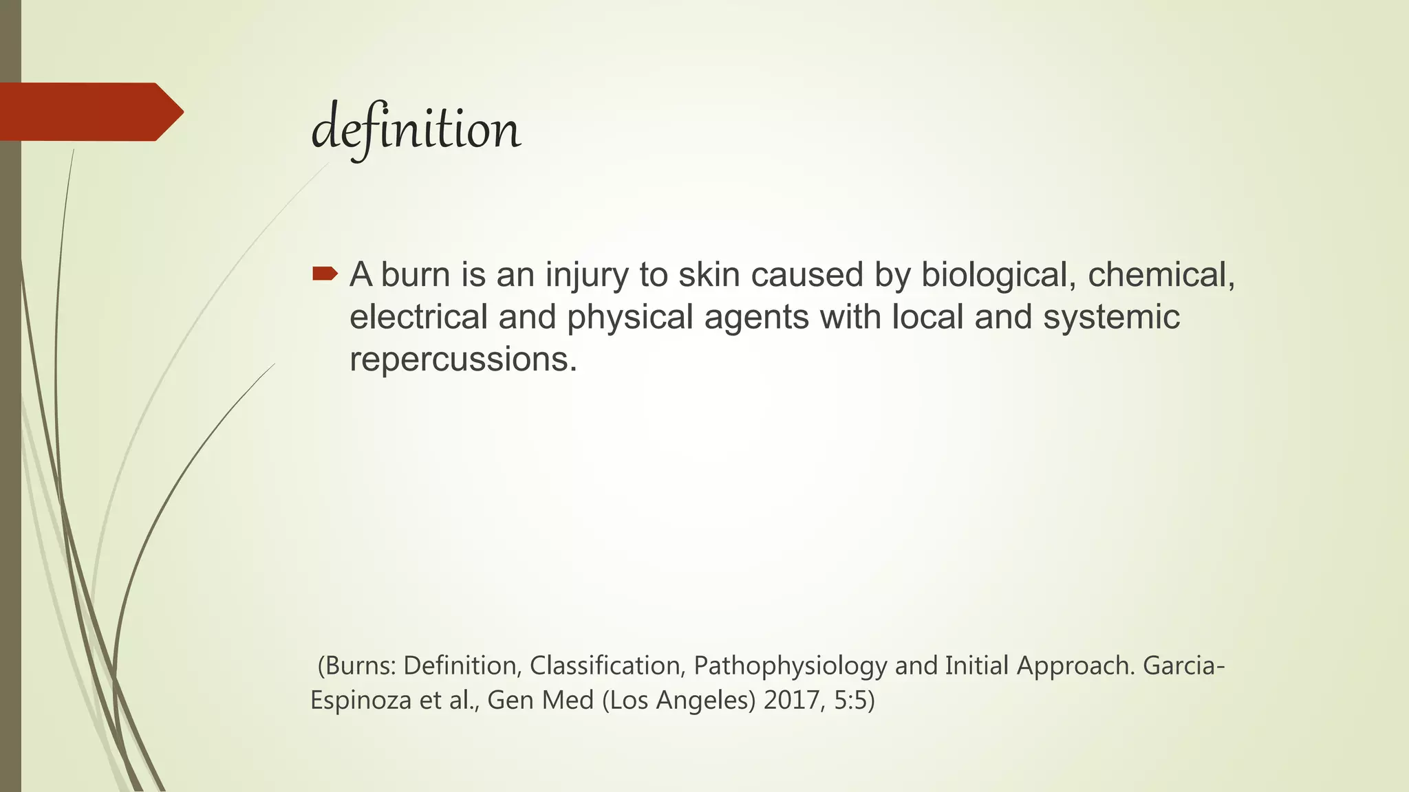 Introduction to burns | PPTX