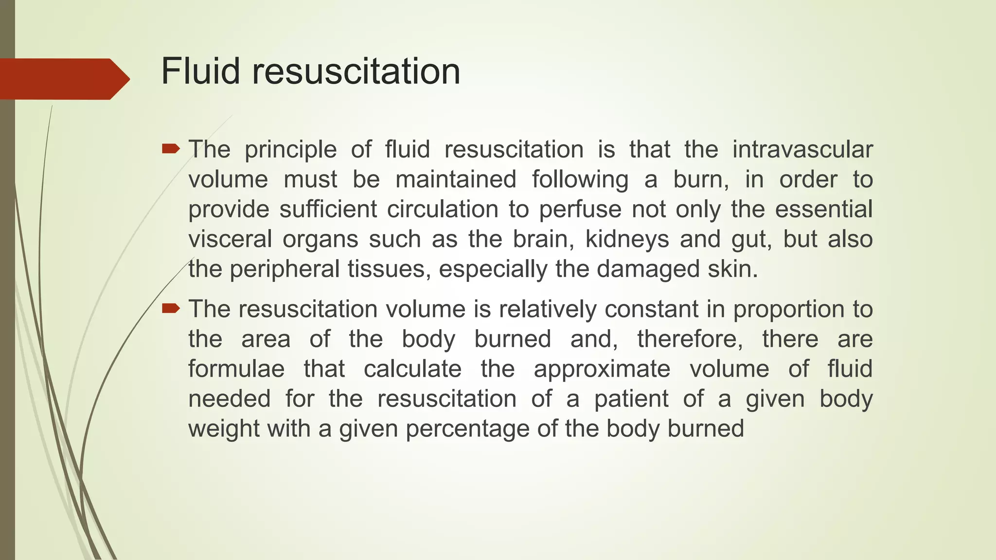 Introduction to burns | PPTX