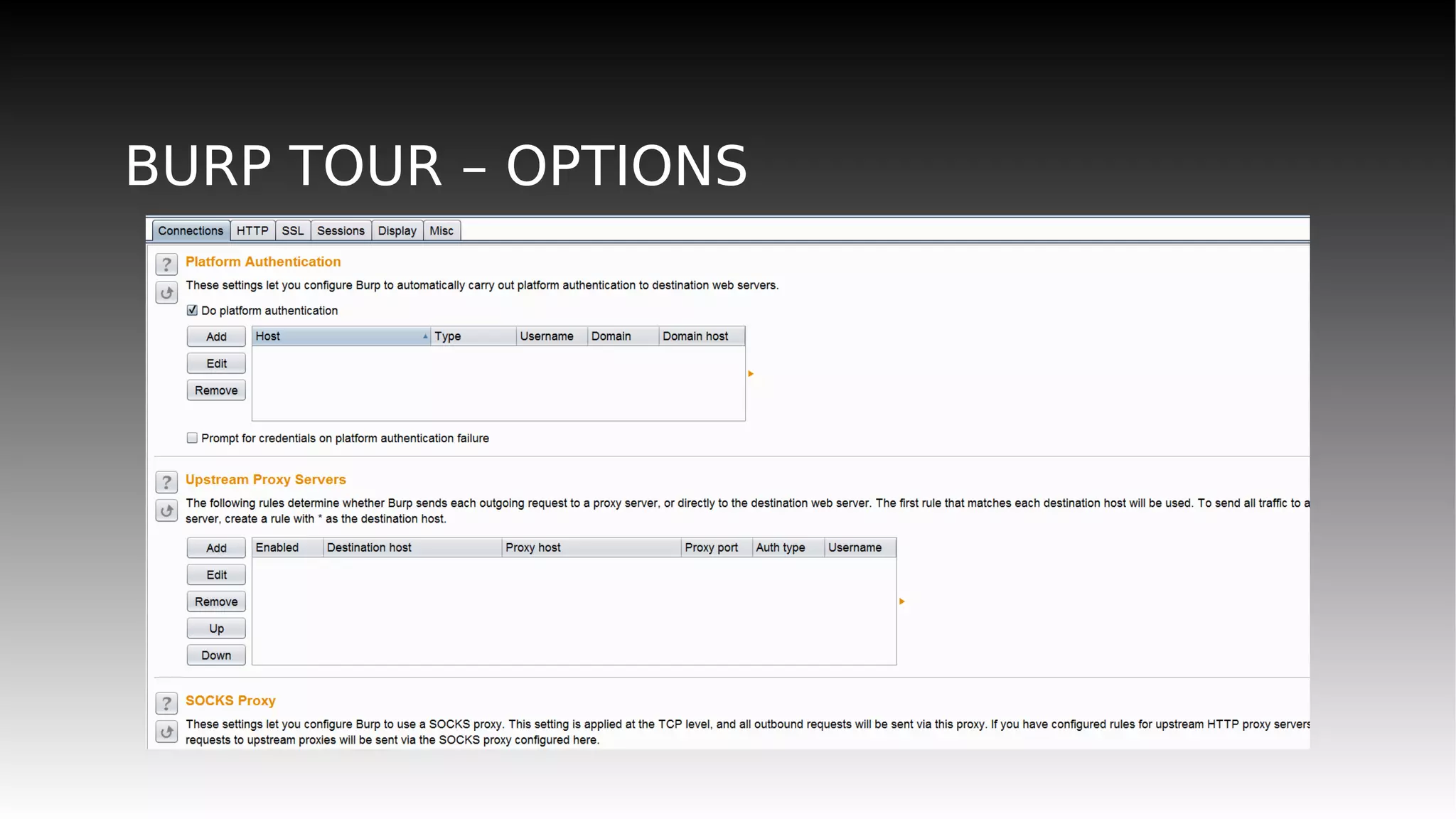 Introduction to burp suite | PDF