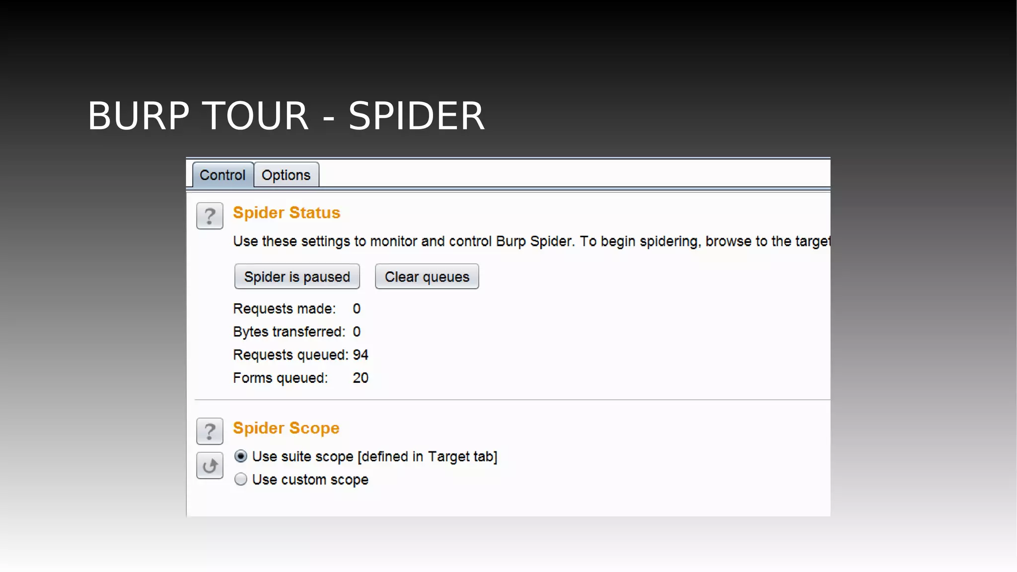 Introduction to burp suite | PDF