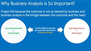 Introduction to Business Analysis | PDF