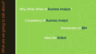 Introduction to Business Analysis | PDF