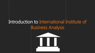 Introduction to Business Analysis | PDF
