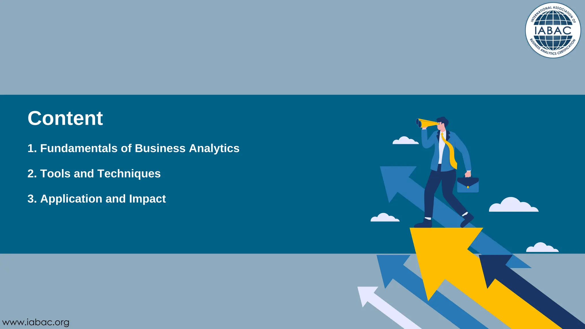 Introduction to Business Analytics Course | IABAC | PPT