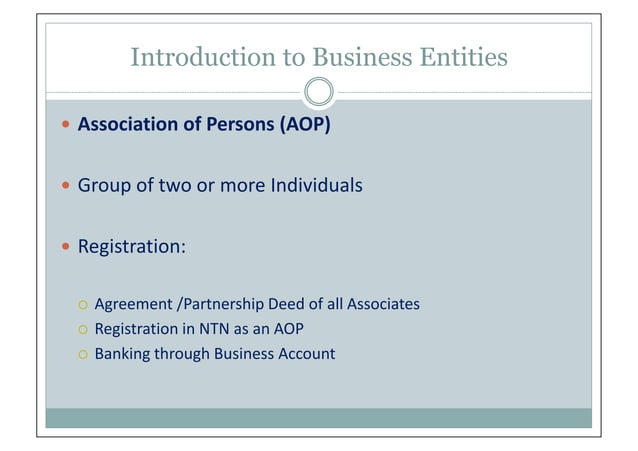 Introduction to Business Entities | PDF