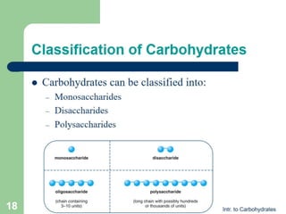 Introduction to carbohydrates part 1 | PDF