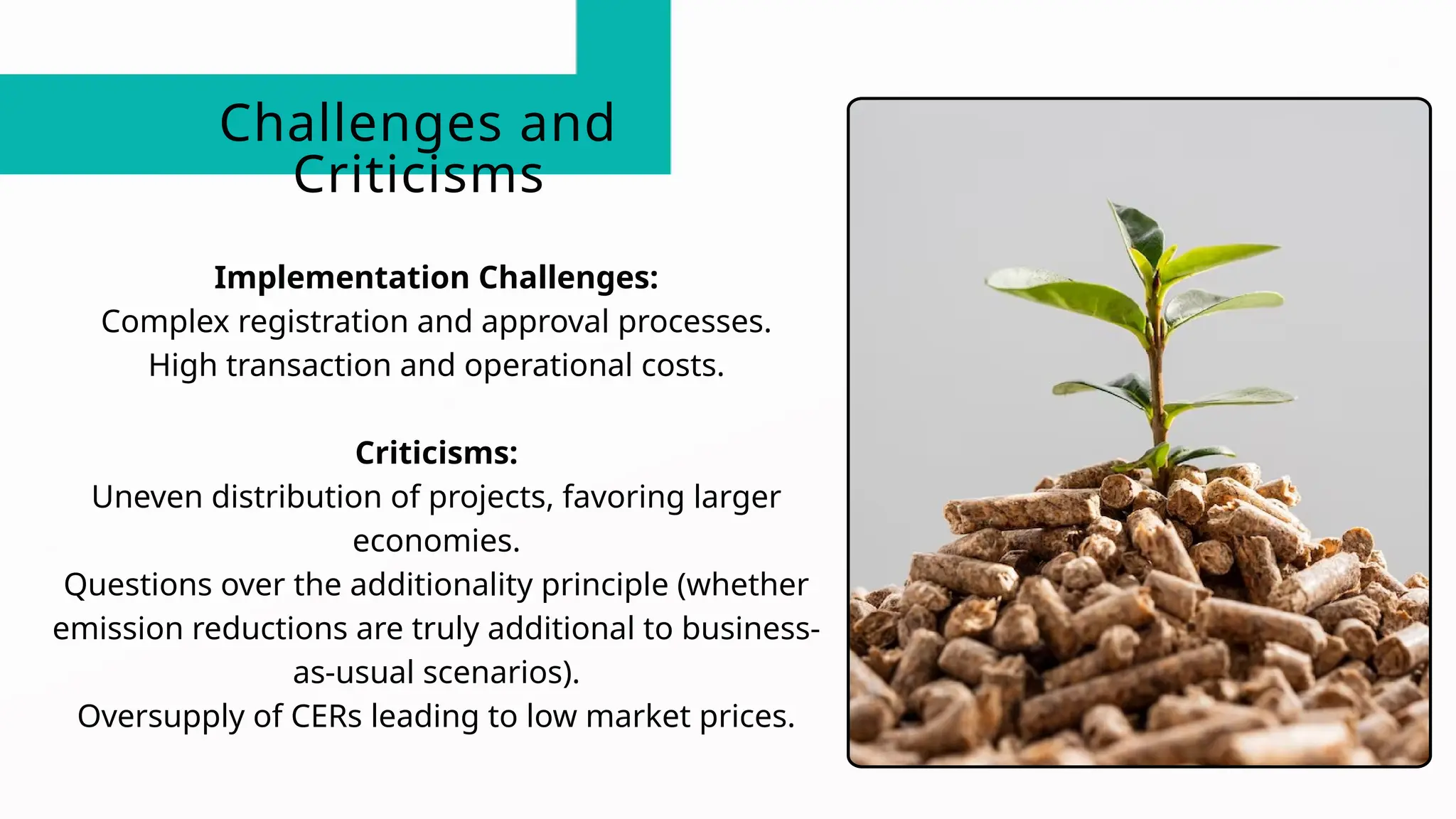 Introduction to Carbon Development Mechanism (CDM) By EARTHOOD.pptx