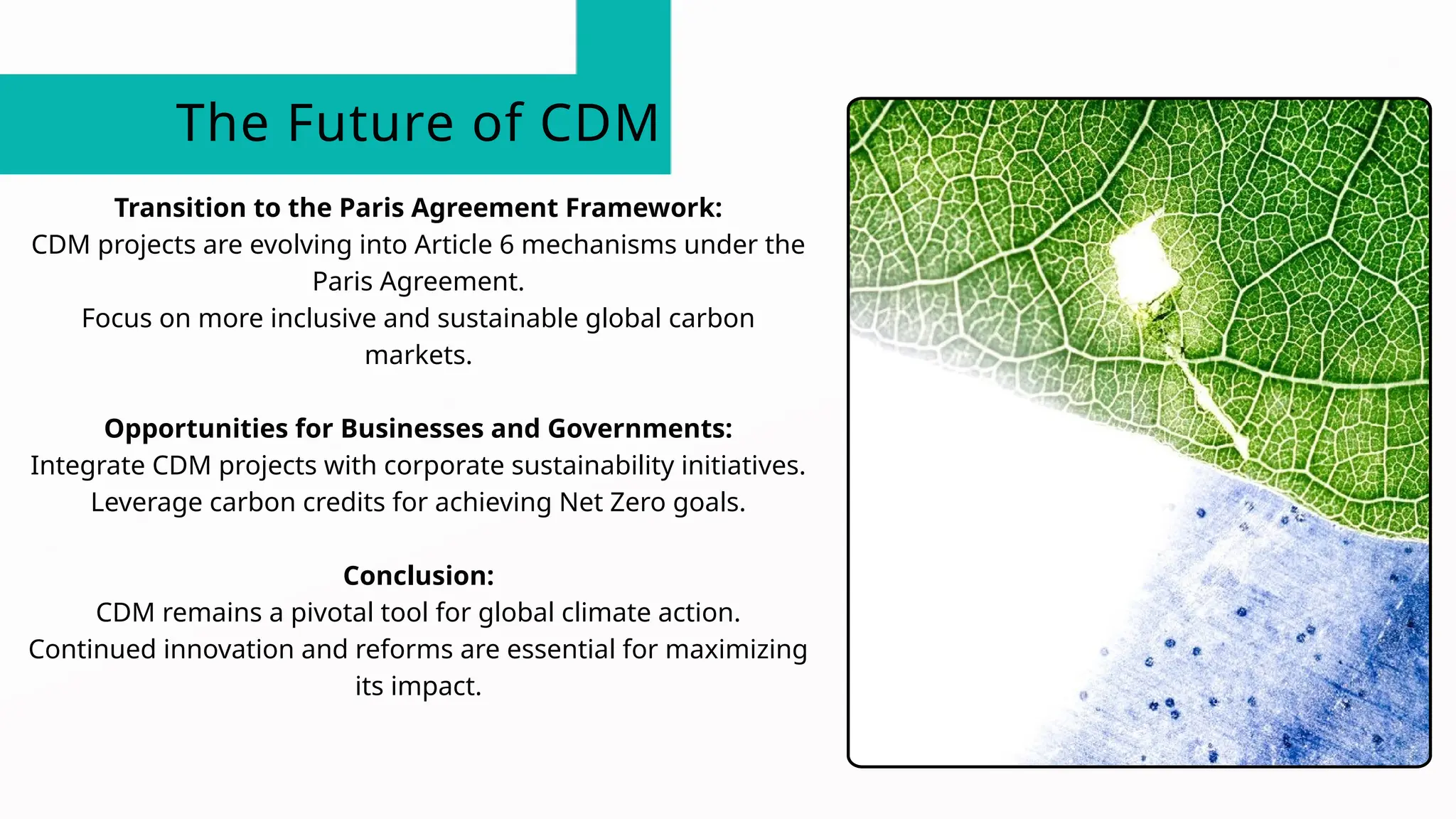 Introduction to Carbon Development Mechanism (CDM) By EARTHOOD.pptx