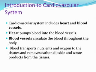 Introduction to Cardiovascular System.pptx