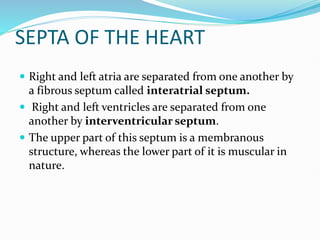 Introduction to Cardiovascular System.pptx