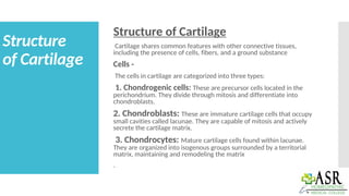 Introduction to Cartilage.pdf by Bodela Rushitha | PDF