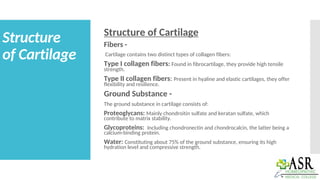 Introduction to Cartilage.pdf by Bodela Rushitha | PDF