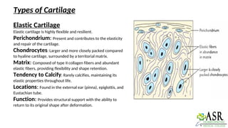 Introduction to Cartilage.pdf by Bodela Rushitha | PDF