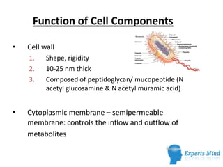 Introduction to cell | PPTX