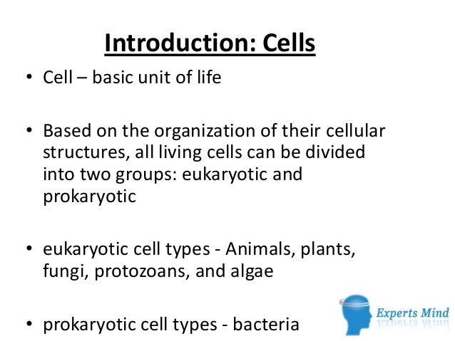 Introduction To Cell 9987