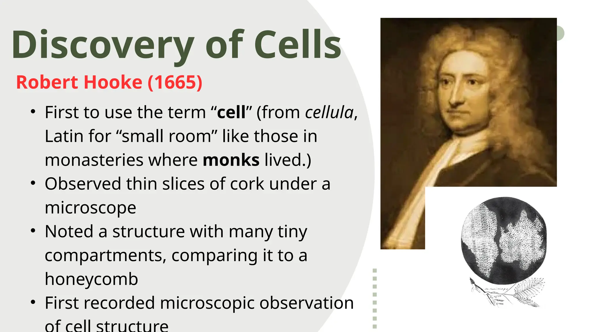 INTRODUCTION TO CELL STRUCTURE_LESSON.pptx