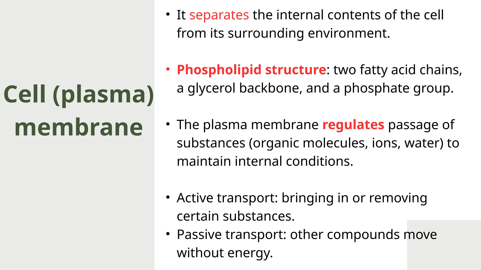 INTRODUCTION TO CELL STRUCTURE_LESSON.pptx