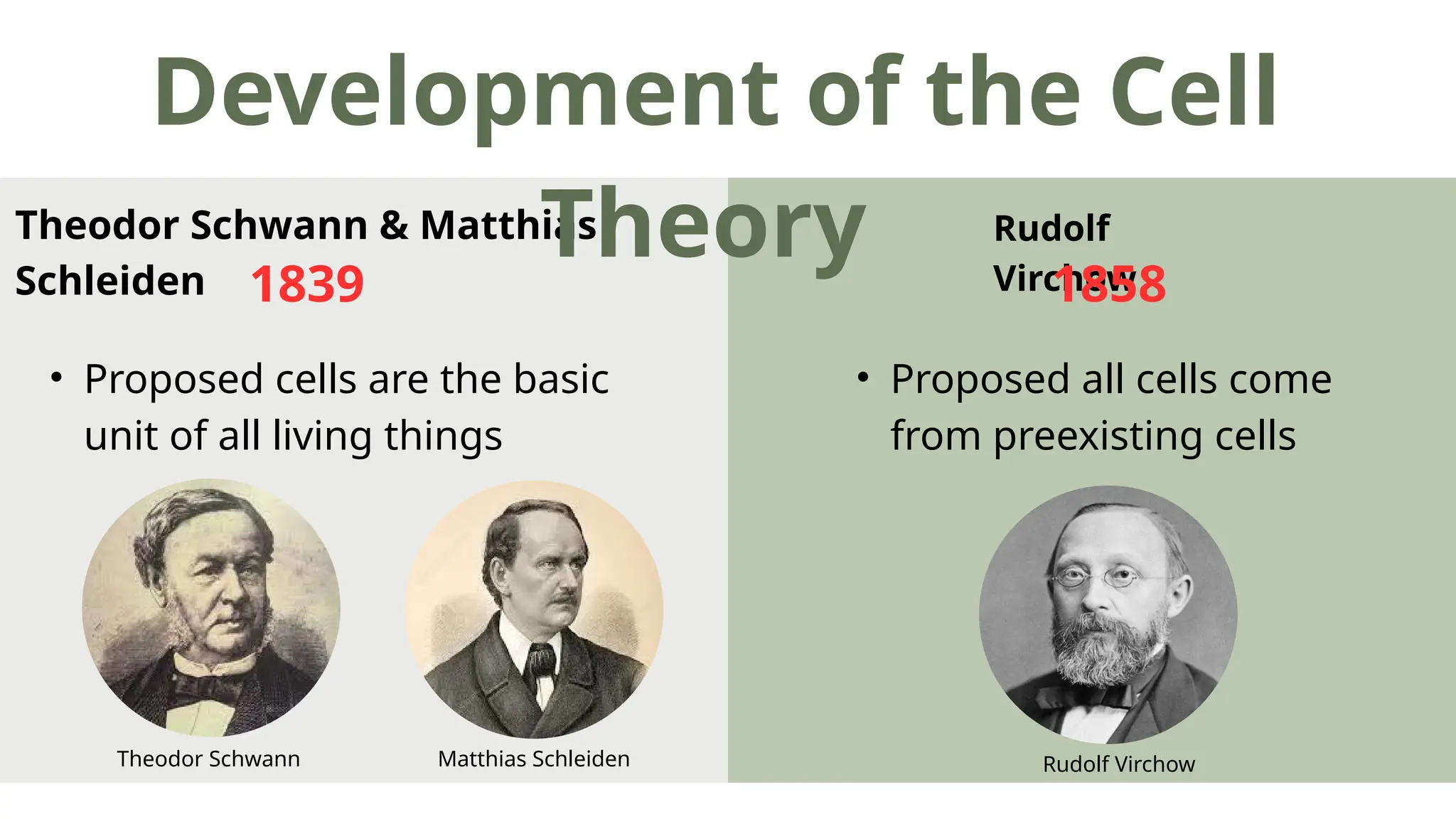 INTRODUCTION TO CELL STRUCTURE_LESSON.pptx