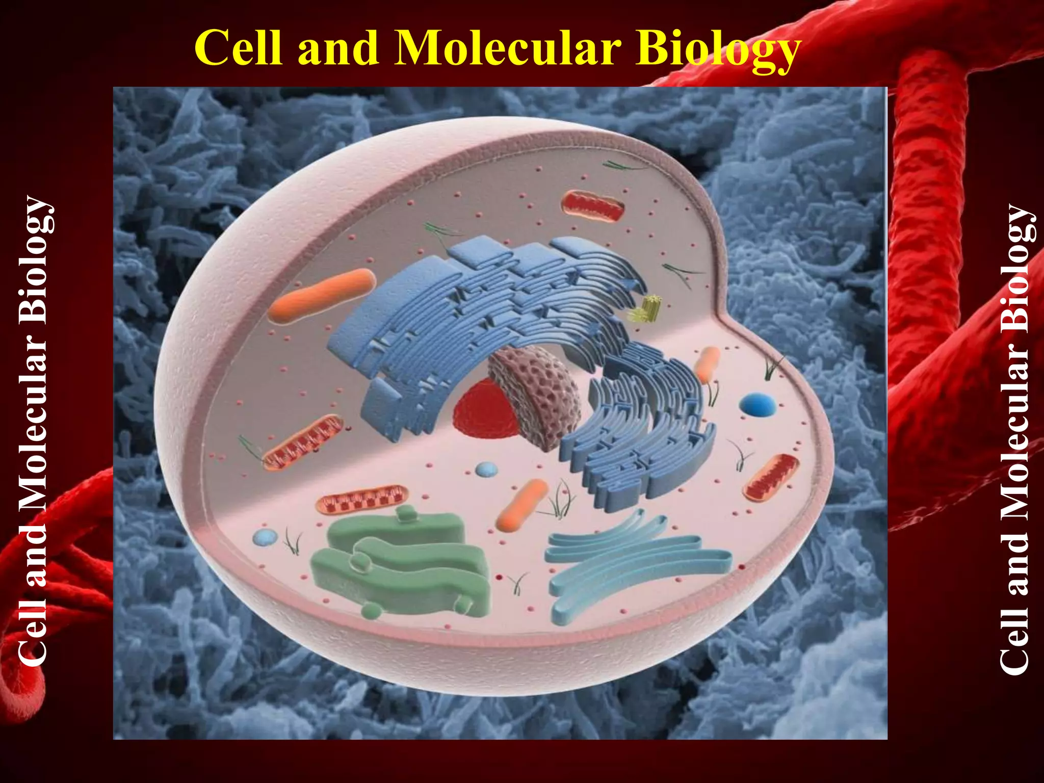 Introduction to cell biology | PPTX