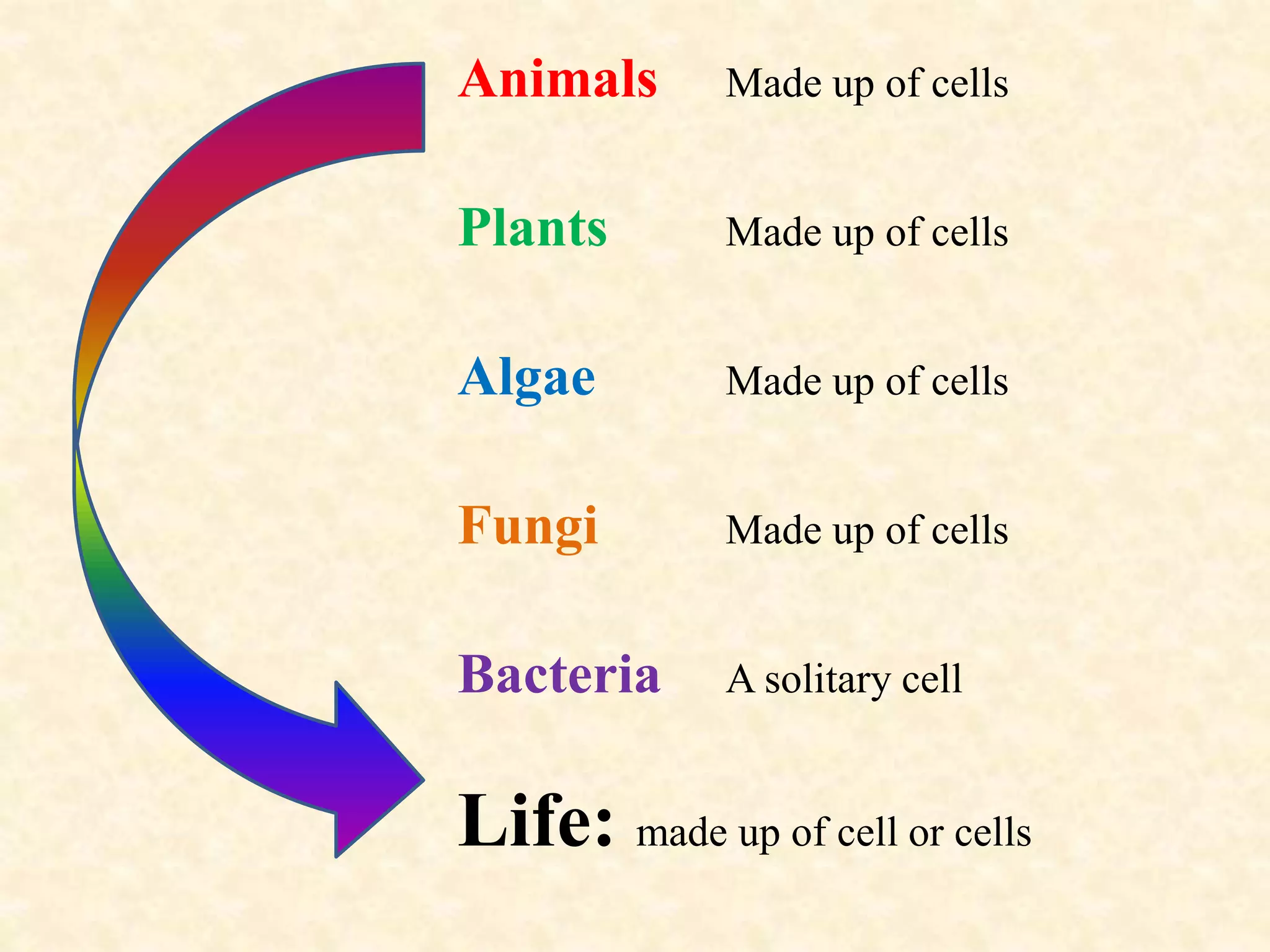 Introduction to cell biology | PPTX