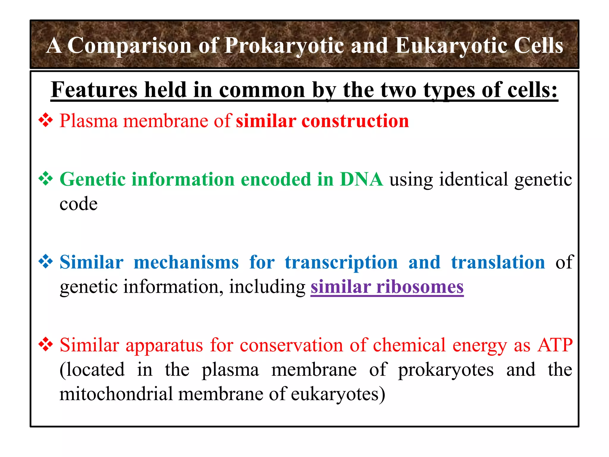 Introduction to cell biology | PPTX