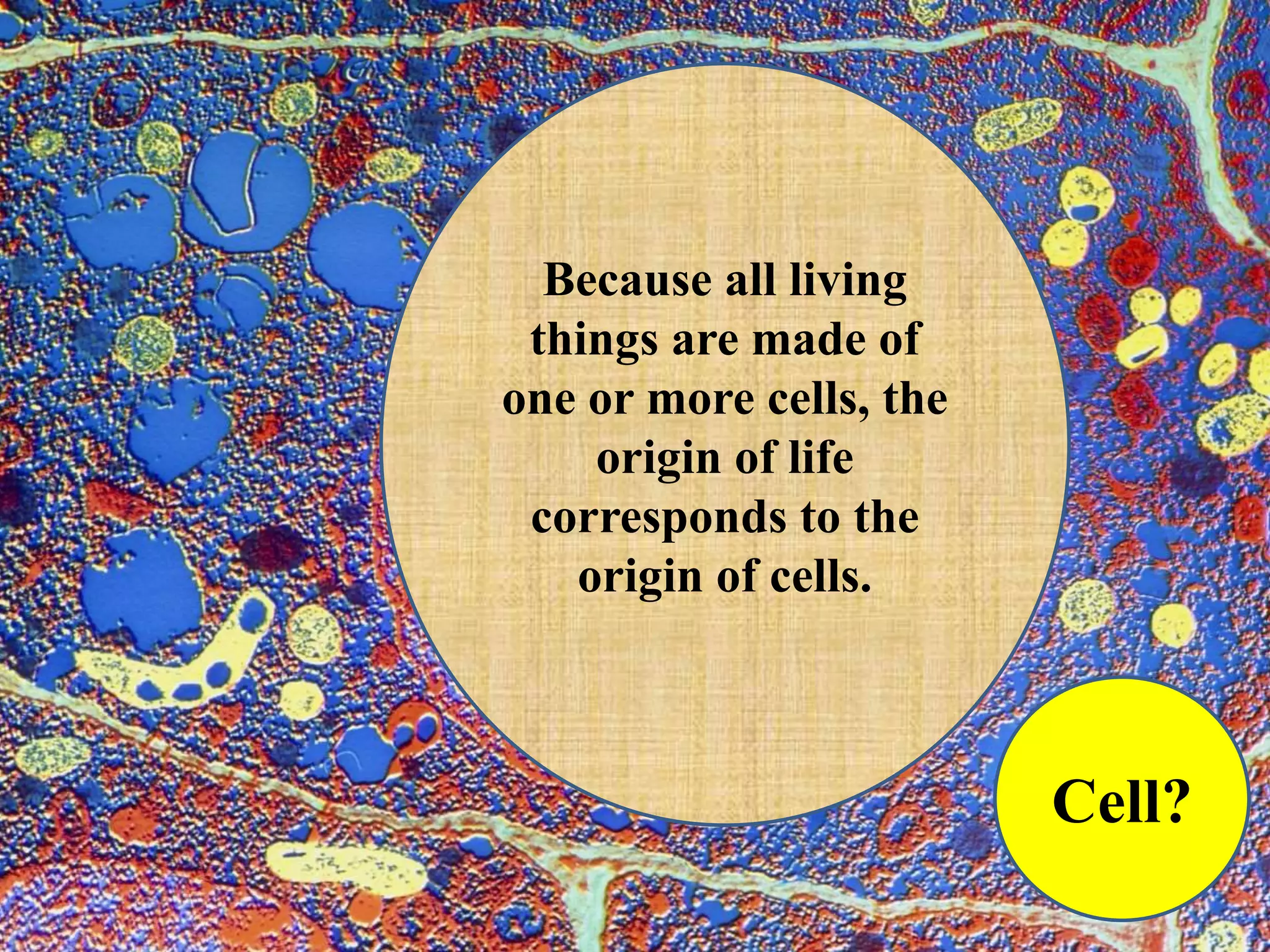 Introduction to cell biology | PPTX