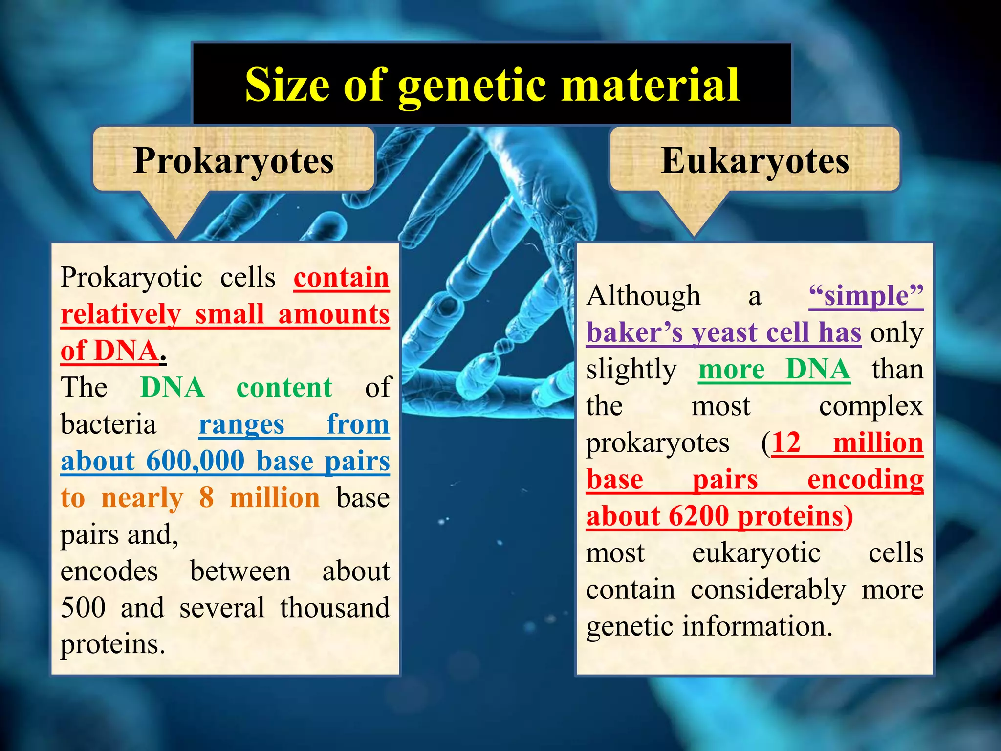 Introduction to cell biology | PPTX