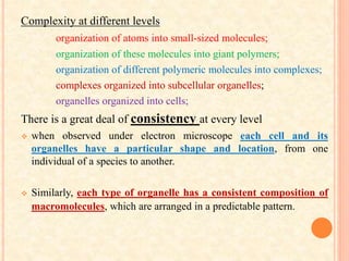 Introduction to cell biology | PPTX