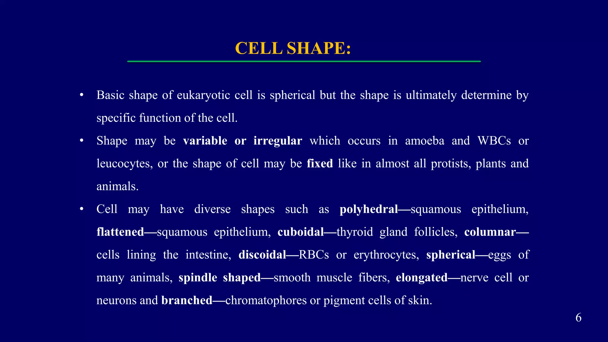INTRODUCTION TO CELL BIOLOGY AND CELL.pptx