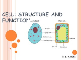 INTRODUCTION TO CELL BIOLOGY MOLECULAR.pptx
