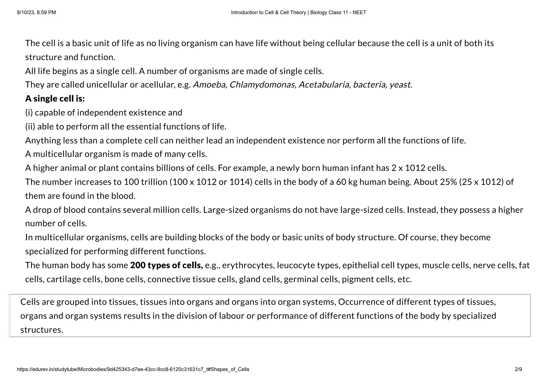 Introduction to Cell & Cell Theory _ Biology Class 11 - NEET.pdf