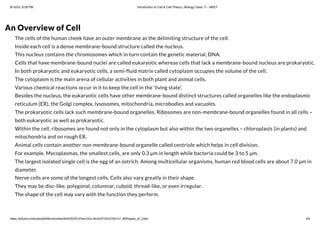 Introduction to Cell & Cell Theory _ Biology Class 11 - NEET.pdf