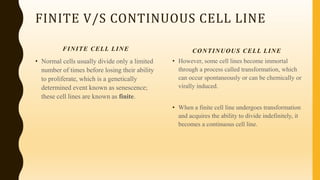 Introduction to cell culture- concepts of cell culture part-1 | PPTX ...