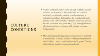 Introduction to cell culture- concepts of cell culture part-1 | PPTX