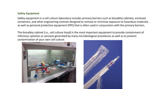 Introduction to cell culture.pptx