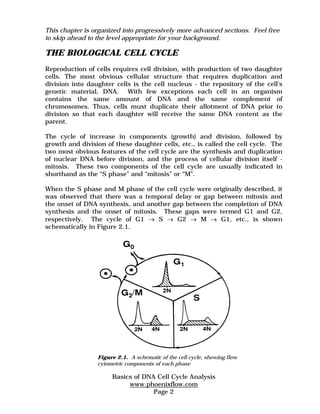 Introduction to cell cycle analysis book | PDF