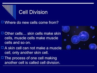 Introduction to Cell Division Notes | PPT