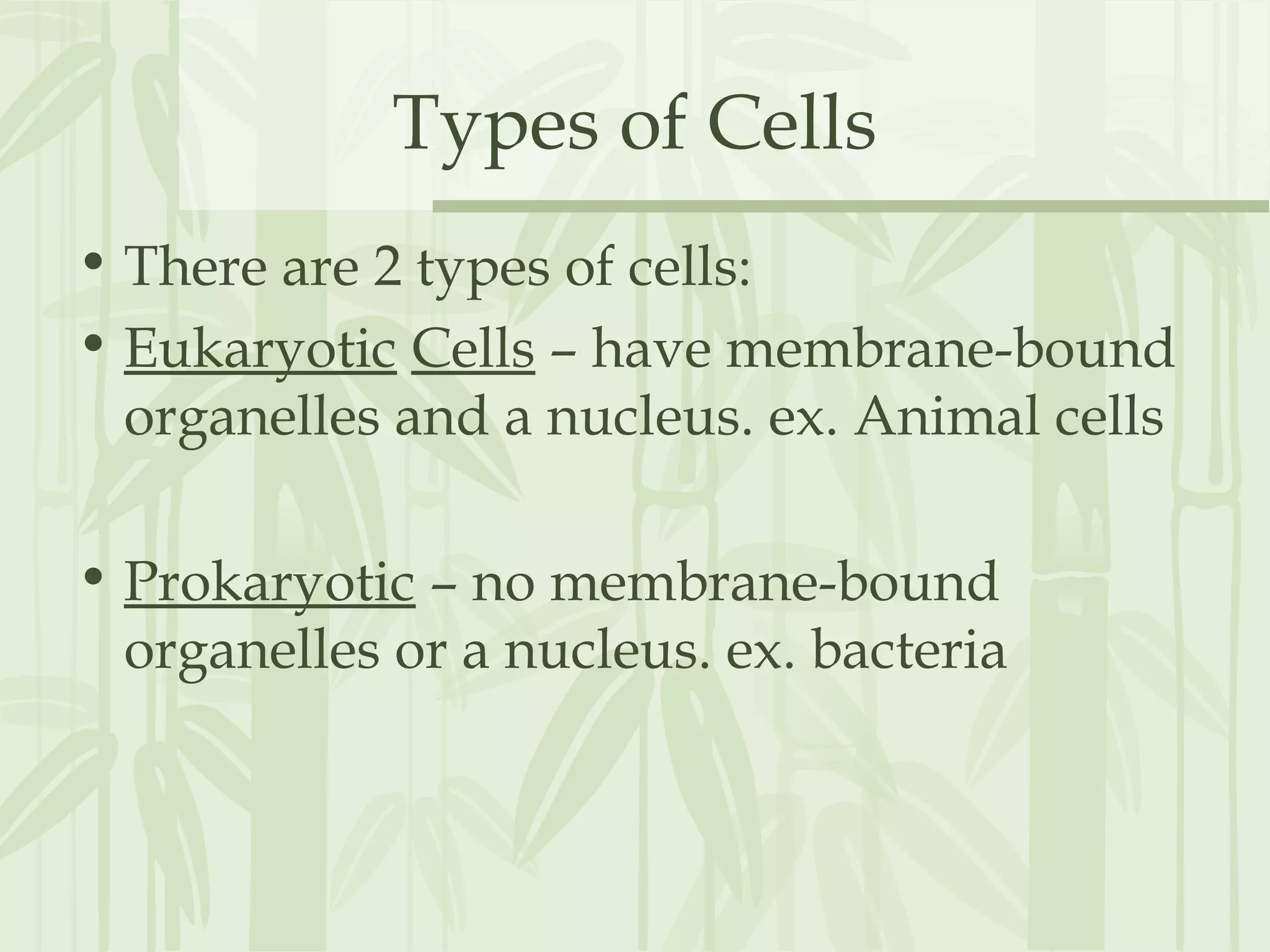 Introduction to Cell Notes | PPT | Biological Sciences | Science