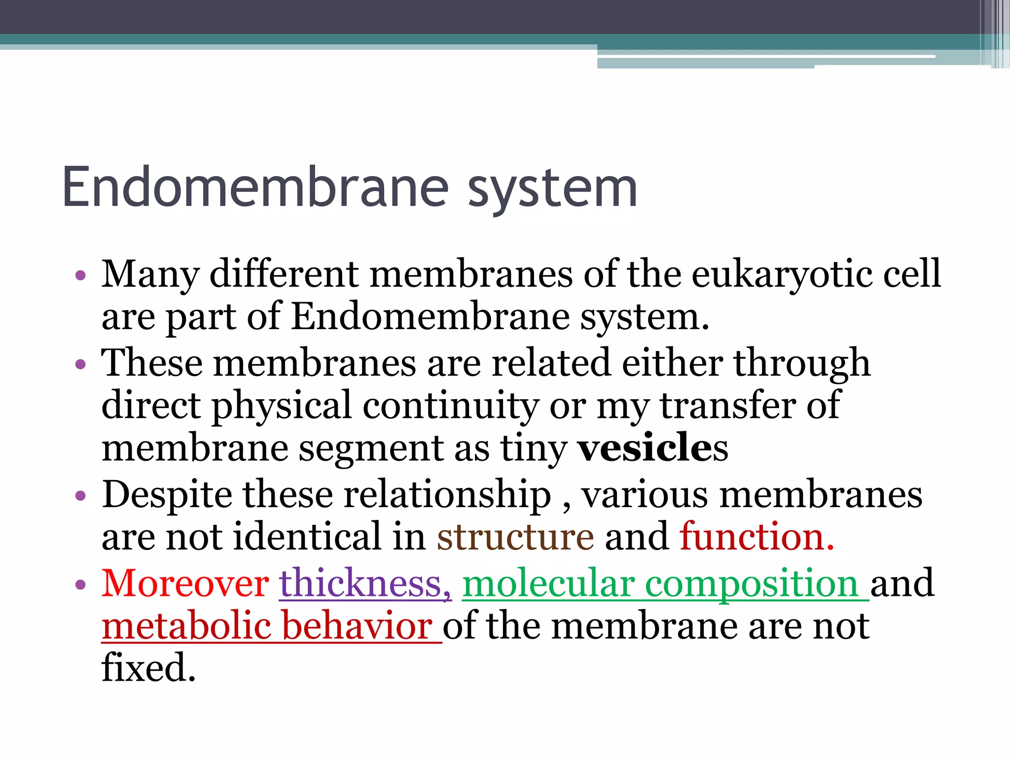 Introduction to cell organelles | PPTX